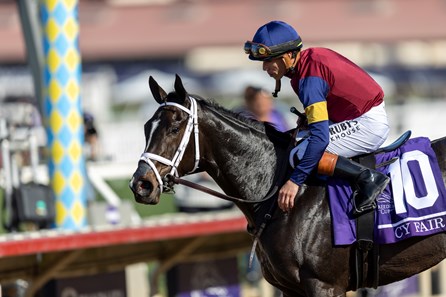 Cy Fair - Horse Profile - BloodHorse