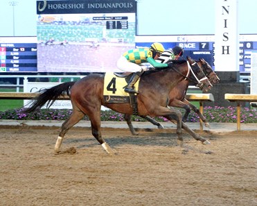 Quality Mischief - Horse Profile - BloodHorse