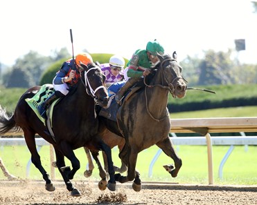 Lady Valor - Horse Profile - BloodHorse