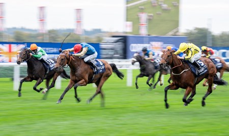 Powerful Glory (IRE) - Horse Profile - BloodHorse