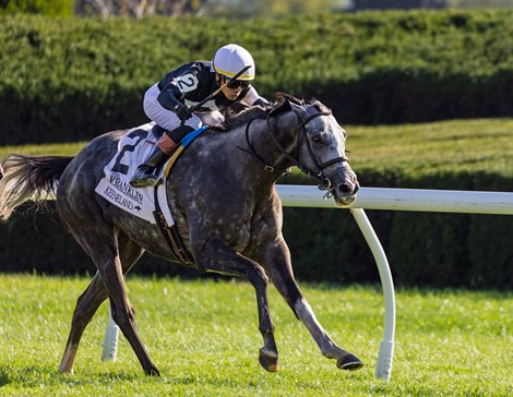 Time to Dazzle Shines in Come-from-Behind Franklin Win - BloodHorse
