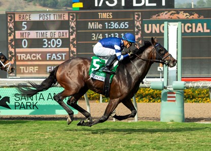 Test Score - Horse Profile - BloodHorse