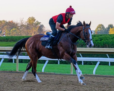 Meet Britain's New Stallions for the 2026 Season - BloodHorse