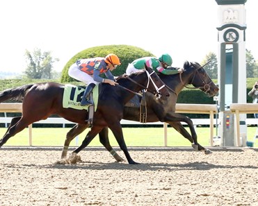 Lady Valor - Horse Profile - BloodHorse