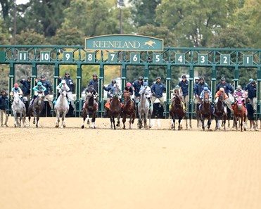 Hit Show - Horse Profile - BloodHorse