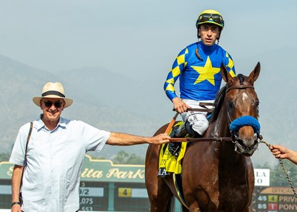 Privman - Horse Profile - BloodHorse