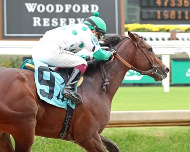 Jack's Promise - Horse Profile - BloodHorse