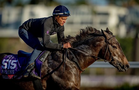 Valiant Force - Horse Profile - BloodHorse