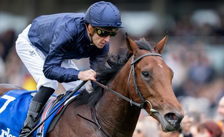Pierre Bonnard (IRE) - Horse Profile - BloodHorse