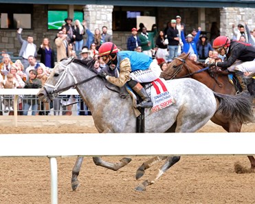 Hit Show - Horse Profile - BloodHorse