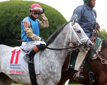 Hit Show - Horse Profile - BloodHorse