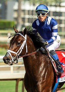 Stark Contrast - Horse Profile - BloodHorse