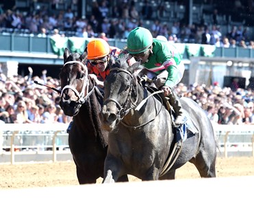 Lady Valor - Horse Profile - BloodHorse