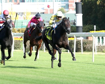 Litigation - Horse Profile - BloodHorse