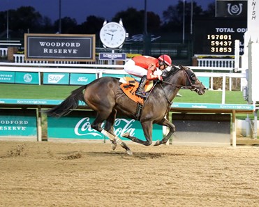 Take Charge Omaha - Horse Profile - BloodHorse