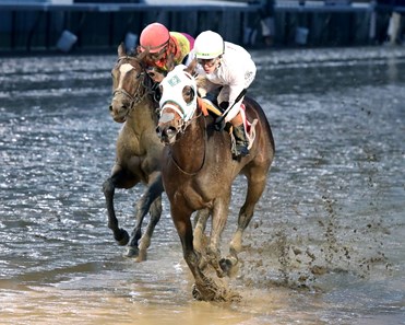 Fizzy Lass - Horse Profile - BloodHorse