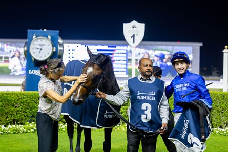 Devon Island - Horse Profile - BloodHorse