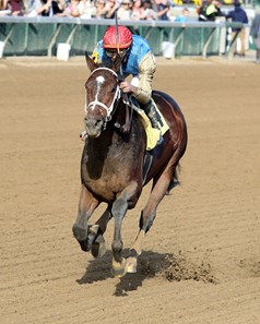 Commandment - Horse Profile - BloodHorse