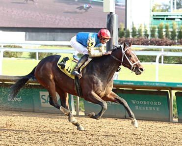 Commandment - Horse Profile - BloodHorse