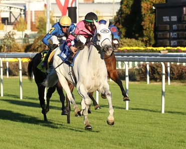 Love Her Lots - Horse Profile - BloodHorse