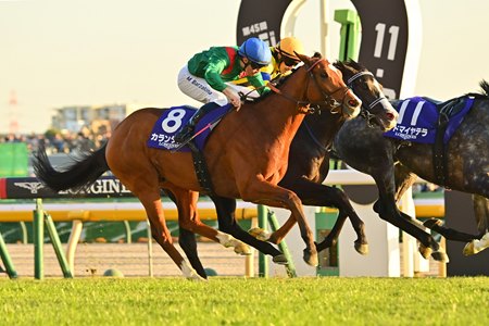 Calandagan Edges Masquerade Ball by a Head in Japan Cup - BloodHorse