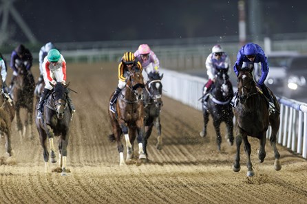 Devon Island - Horse Profile - BloodHorse