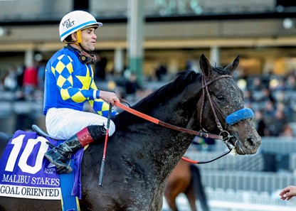 Goal Oriented - Horse Profile - BloodHorse