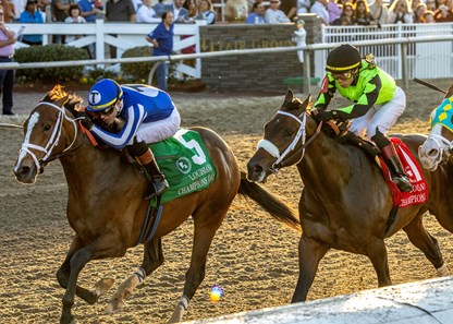Our Moneyman - Horse Profile - BloodHorse