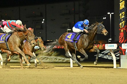 Pyromancer (JPN) - Horse Profile - BloodHorse