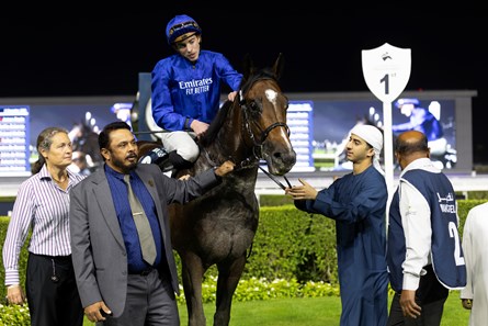 Devon Island - Horse Profile - BloodHorse