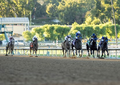 Goal Oriented - Horse Profile - BloodHorse