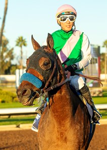 Consequent - Horse Profile - BloodHorse