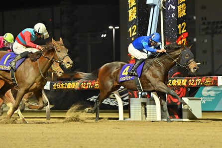 Pyromancer (JPN) - Horse Profile - BloodHorse