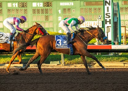 Consequent - Horse Profile - BloodHorse