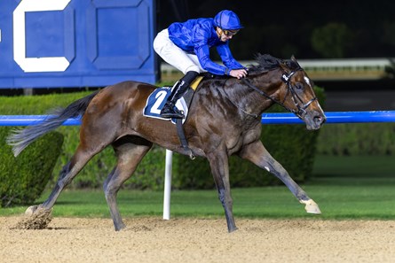 Devon Island - Horse Profile - BloodHorse