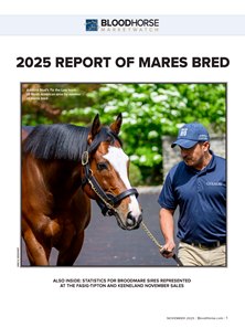 BloodHorse MarketWatch: Quality of Mares Bred 2025 - BloodHorse