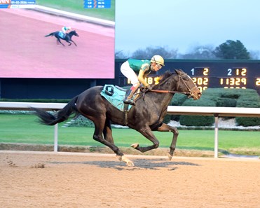 Triple Up - Horse Profile - BloodHorse