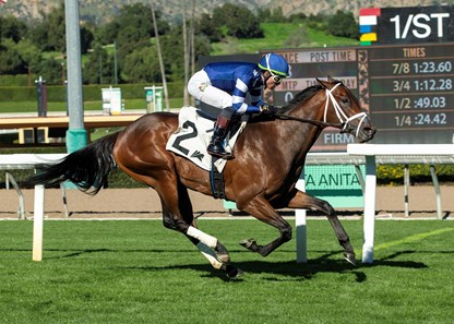 Stark Contrast - Horse Profile - BloodHorse