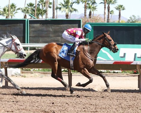 Surprsinglyperfect Named Claiming Horse of the Year - BloodHorse