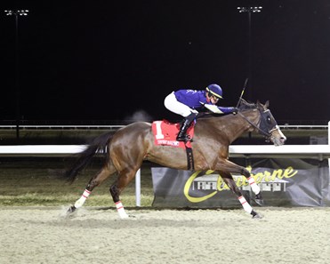 Lainey - Horse Profile - BloodHorse