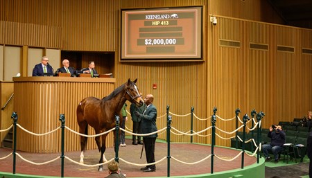 Simply in Front - Horse Profile - BloodHorse