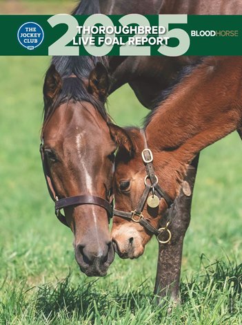 2025 Thoroughbred Live Foal Report - BloodHorse