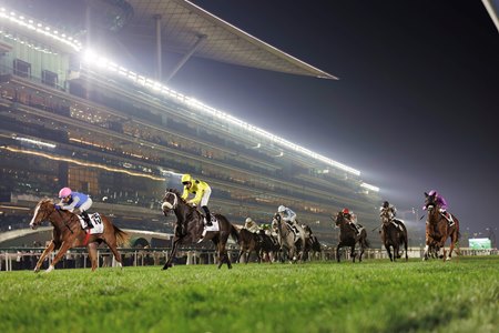 Meydan to Host Autism-Friendly Race Day - BloodHorse