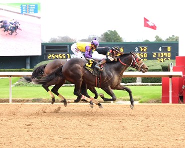 Super Cruise - Horse Profile - BloodHorse