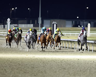 Great White - Horse Profile - BloodHorse