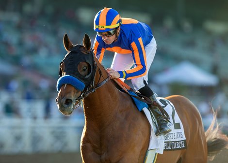 Plutarch Off Kentucky Derby Trail - BloodHorse