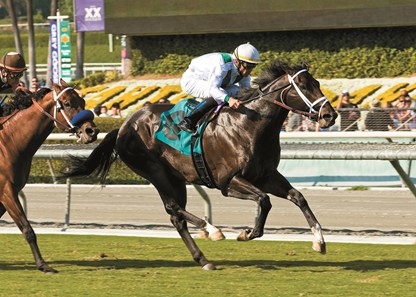 Cowboy Cal - Horse Profile - BloodHorse