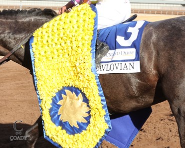 Pavlovian - Horse Profile - BloodHorse