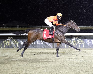 Honor Marie - Horse Profile - BloodHorse