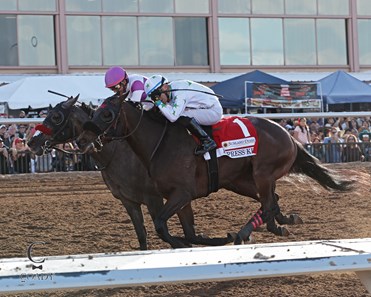 Pavlovian - Horse Profile - BloodHorse